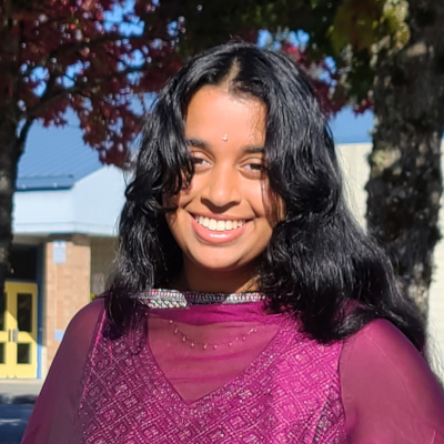 Antara & Vivek's Engagement